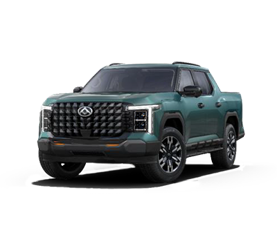 LDV Terron 9 | Pick up that means business